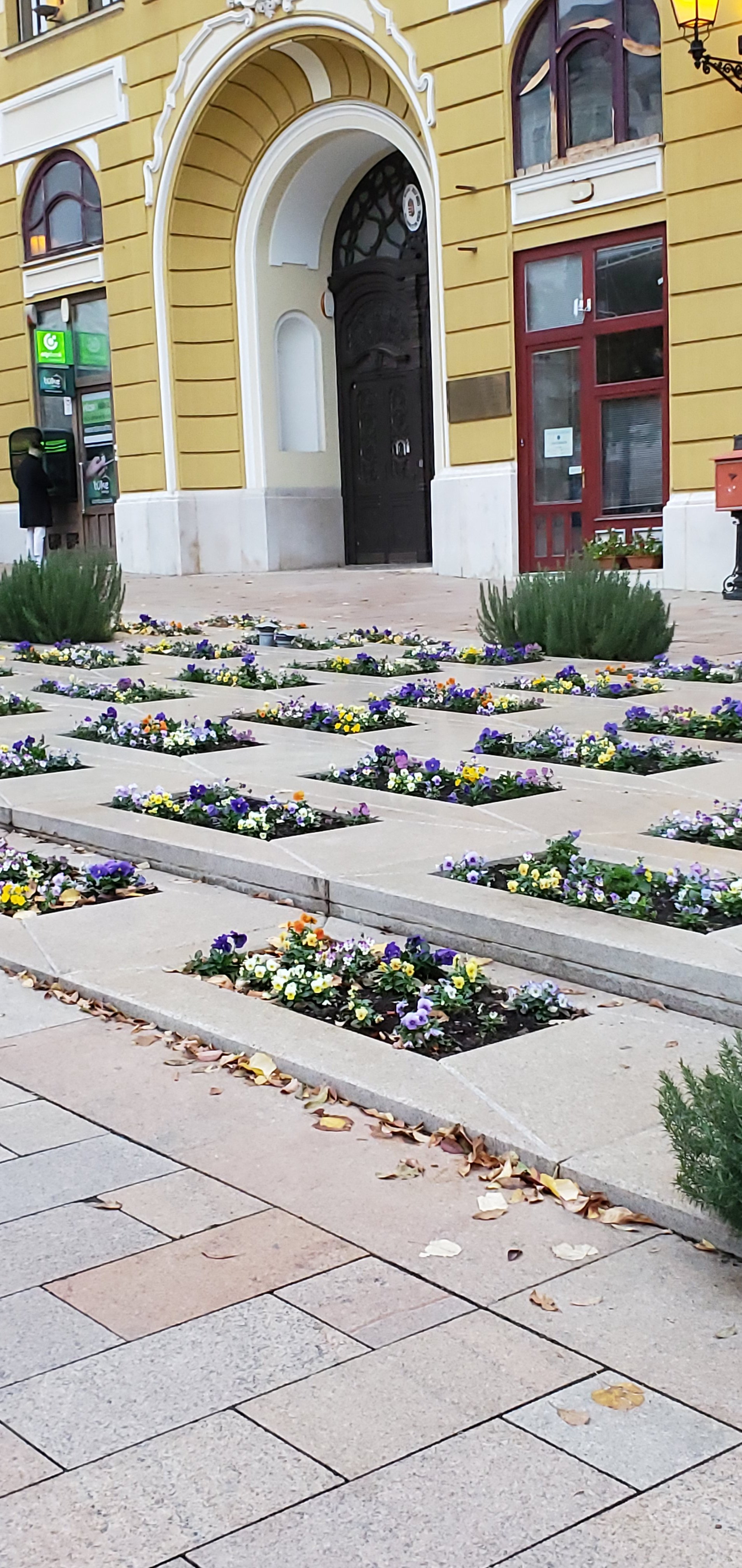 Saturday: Pecs, Hungary | Still Carrying On